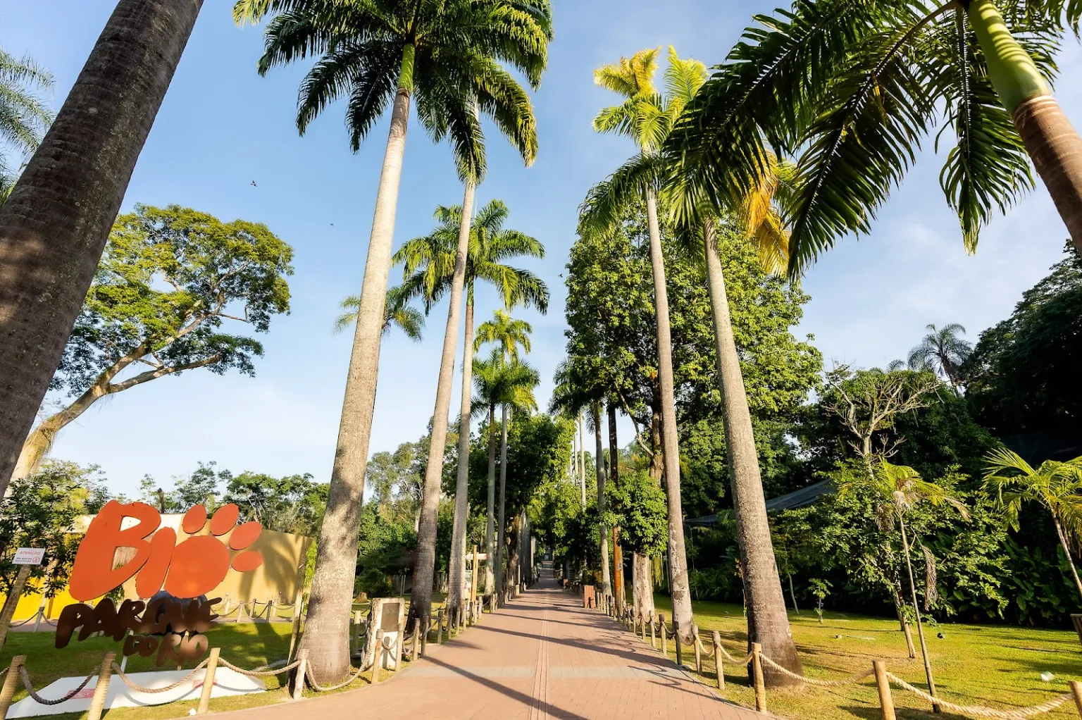 Como visitar o BioParque do Rio. Como chegar, preços e dicas